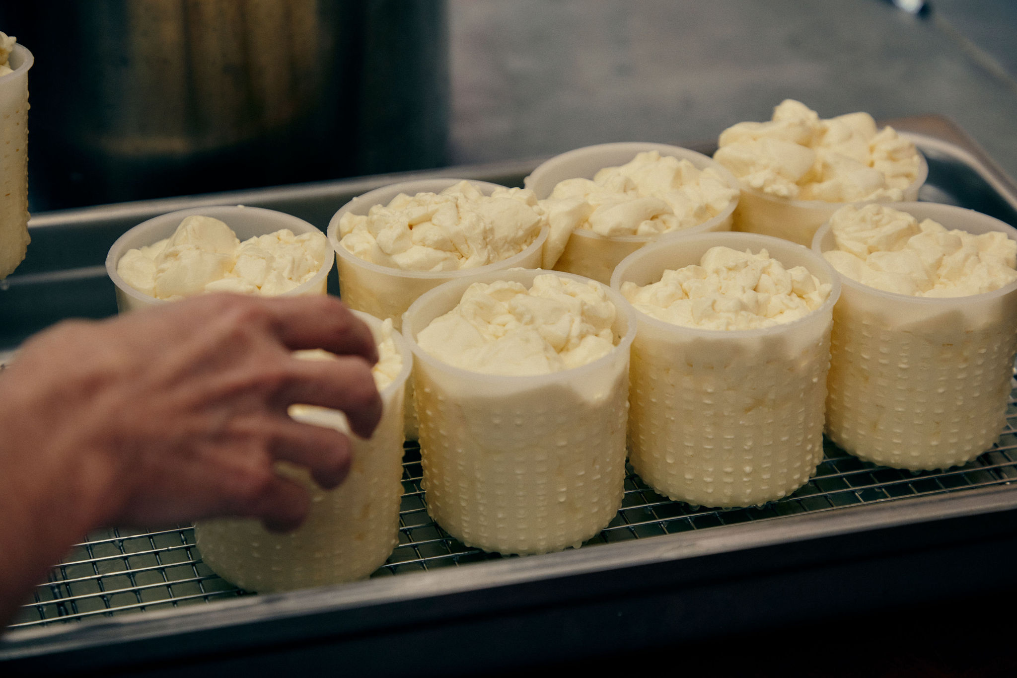 Cheese Making Fridge Essentials | Daylesford Longhouse